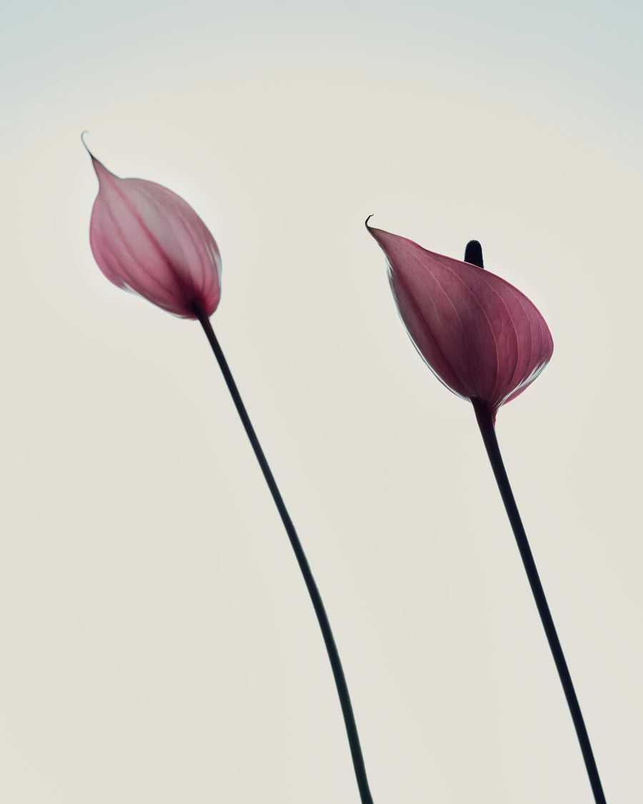 Perimenopause Discharge: Changes, Causes & When to Worry